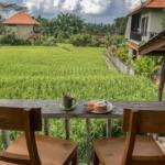 10 Infinity Pools in Ubud to Visit on a Day Pass - From Budget to Luxury