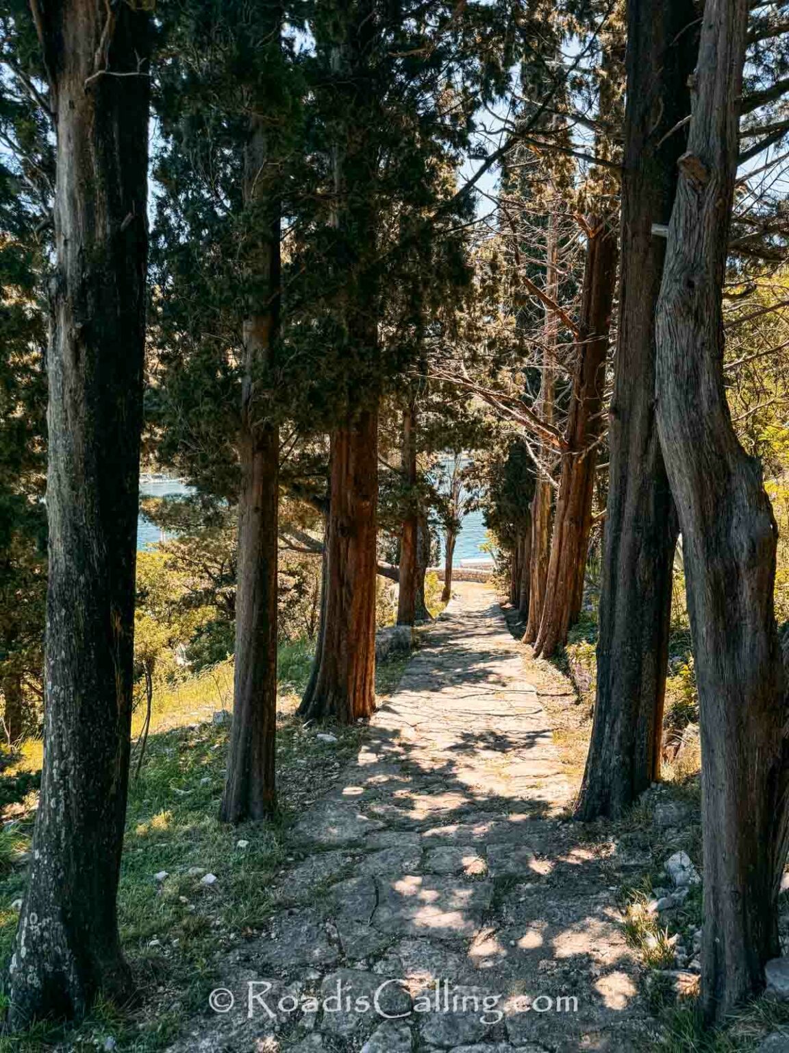Guide to Bijela in Montenegro - Kotor’s Bay Secret Getaway Town